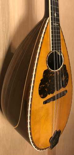 1900 Washburn Neapolitan Bowlback Mandolin Style 122 - Style 130 ...