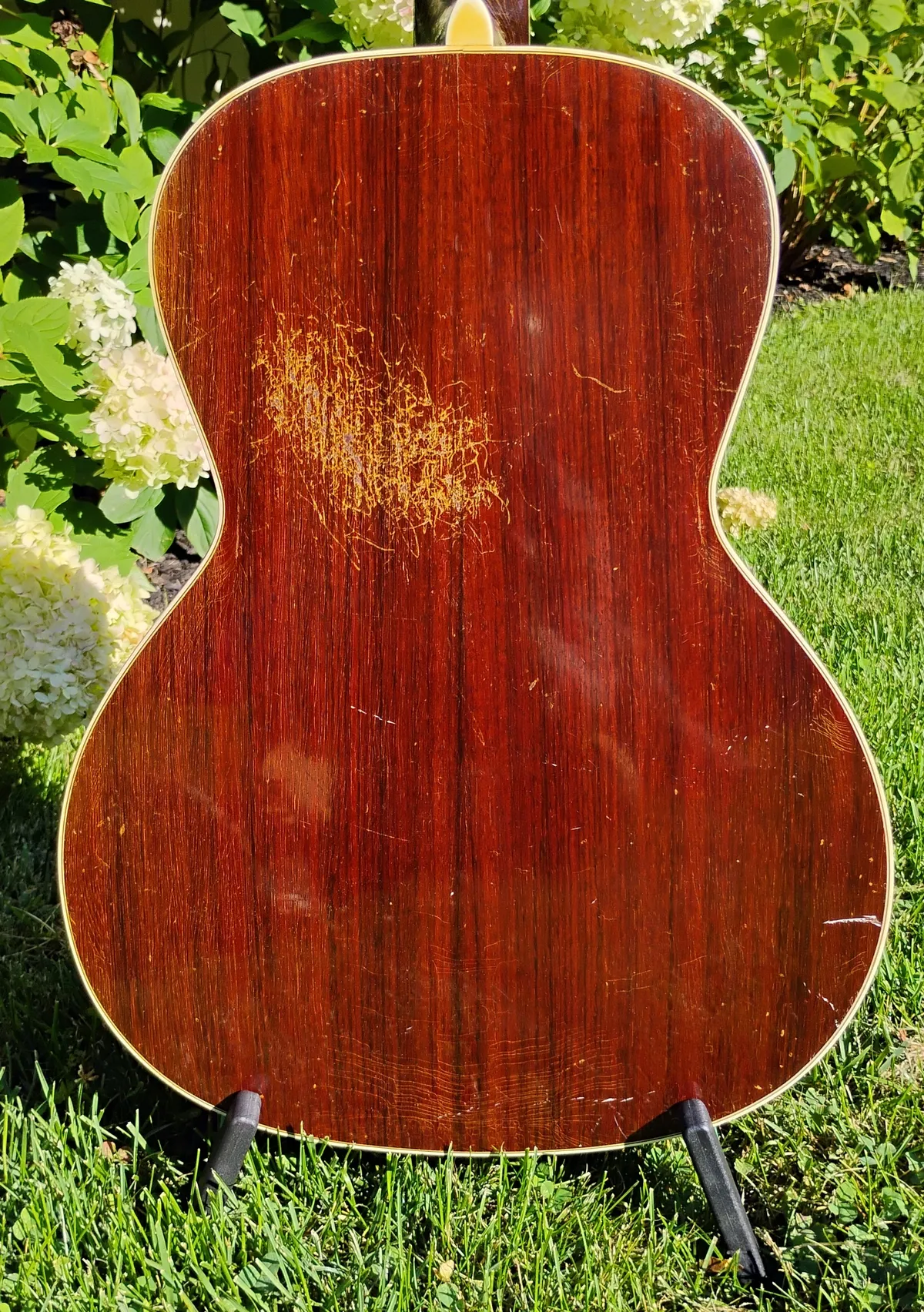 1933 Gibson Nick Lucas Special > Guitars Acoustic | Kovacik Guitars and ...