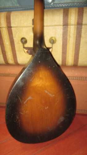 1965 Sterling Mandolin Sunburst > Mandolin Family | Rivington Guitars