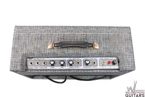 1965 Supro Tremo-verb > Amps & Preamps | Well Strung Guitars