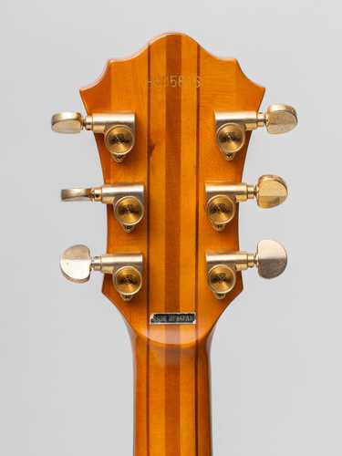 1980 Roland G-808 > Guitars Electric Solid Body | TR Crandall Guitars