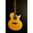 1990 Taylor 955C Natural > Guitars 12 String Electric & Acoustic ...
