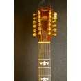 1990 Taylor 955C Natural > Guitars 12 String Electric & Acoustic ...