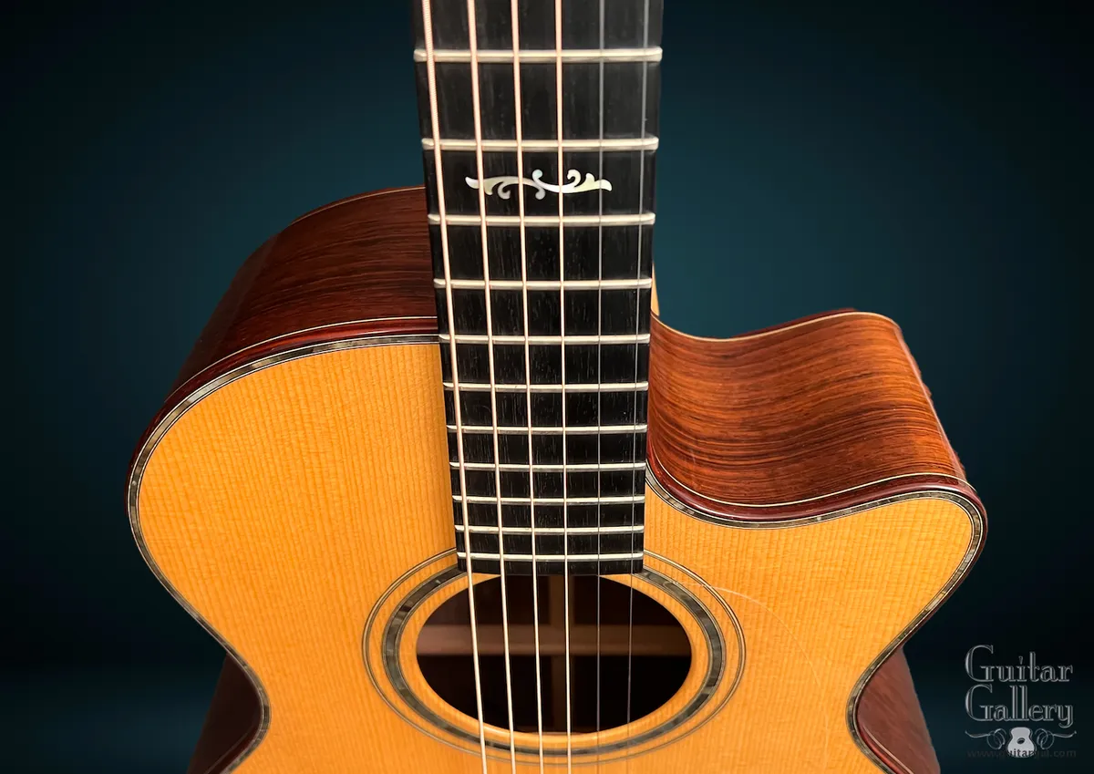 2002 Kevin Ryan Mission GC Cutaway Brazilian Rosewood > Guitars ...