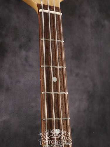 2015 Sterling by MUSIC MAN Ray 34 > Guitars Bass | TCGAKKI