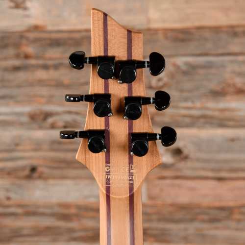 2019 Schecter C-1 Exotic Ebony C-1 Exotic Ebony Brown Brown > Guitars ...