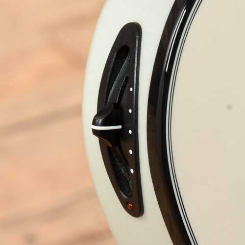 2022 Taylor T5z Standard T5z Standard White White > Guitars Acoustic ...