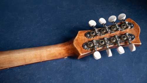 2024 Finn Juliette F Style Mandolin Natural > Mandolin Family | Willies ...