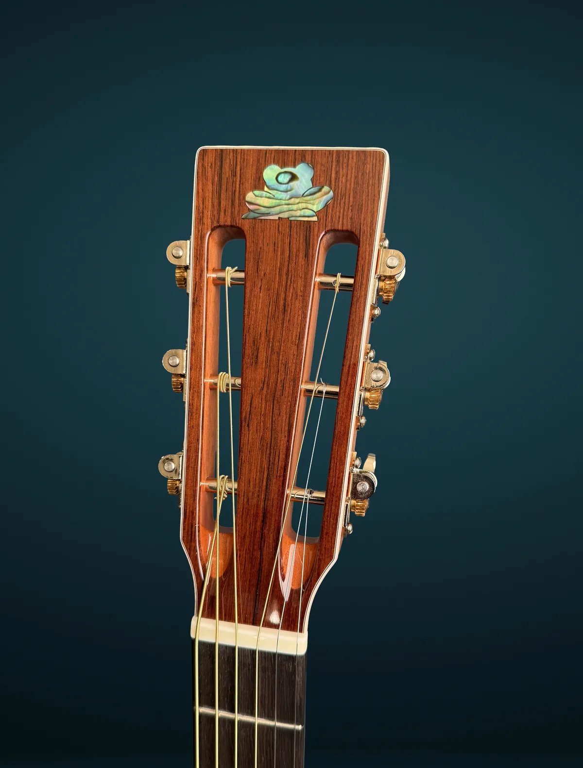 2025 Froggy Bottom P12 cutaway Bastogne Walnut > Guitars Acoustic ...
