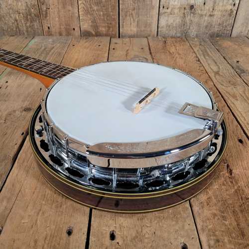 Alvarez Deluxe > Banjos | Mahar's Vintage Guitars