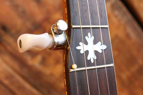 Alvarez Denver Belle Model 4300 Mahogany > Banjos | Rock n Roll Vintage ...