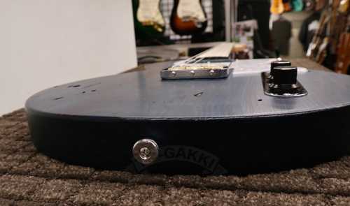 Bacchus PR > Guitars Electric Solid Body | TCGAKKI