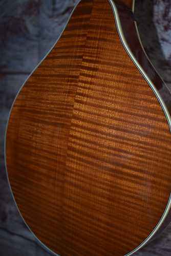 2022 Bourgeois Mandolin Model A > Mandolin Family | The Loft at Lays ...