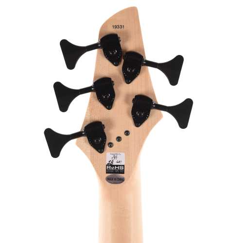 Dingwall Combustion Blue Whale Pool Burst > Guitars Bass | Chicago ...