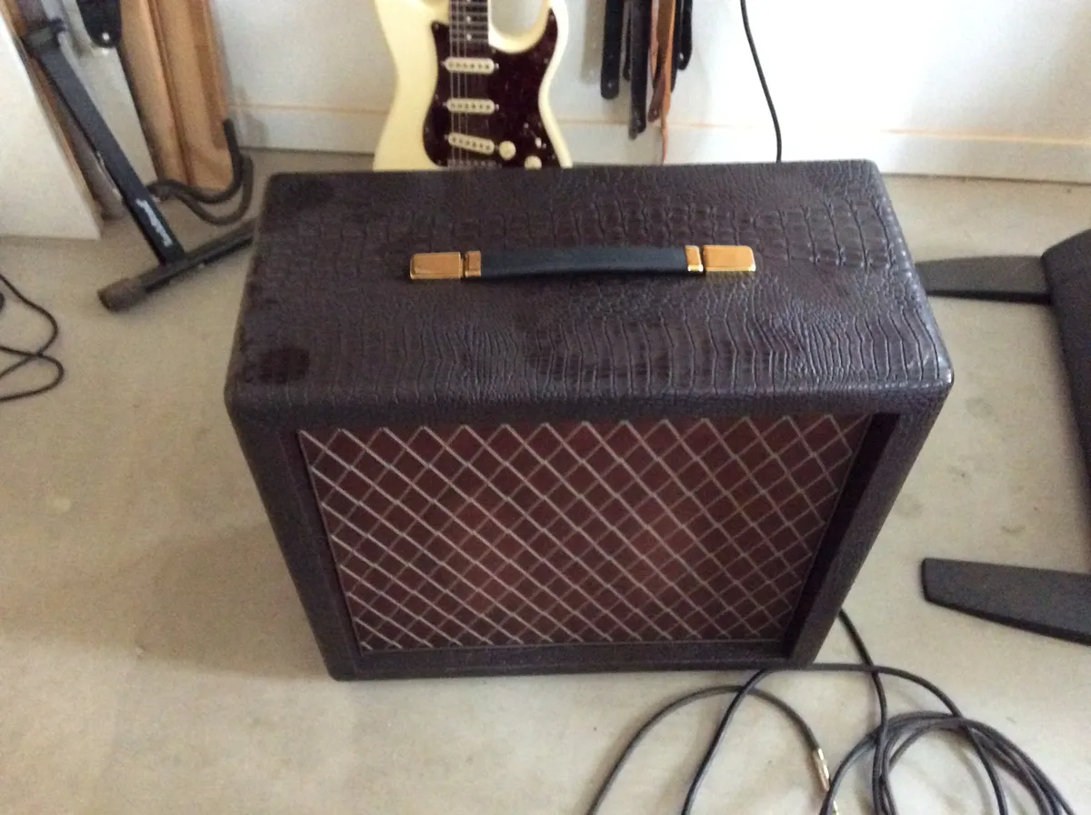 Dumble Overdrive Special > Amps & Preamps | JamCity Guitars