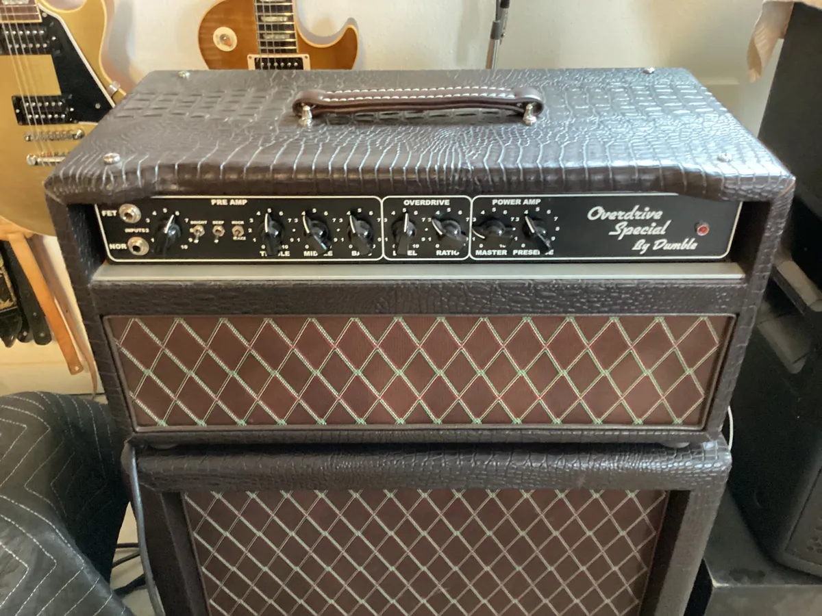 Dumble Overdrive Special > Amps & Preamps | JamCity Guitars