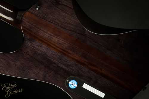 ESP LTD Phoenix-1000 QM – See Thru Black Sunburst See Thru Black ...