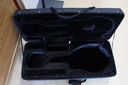 F-Shaped Mandolin Soft-Molded Case > Mandolin Family | Music Store Inc.