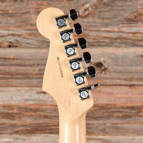 Fender Stratocaster American Standard Stratocaster Neck with Unknown ...