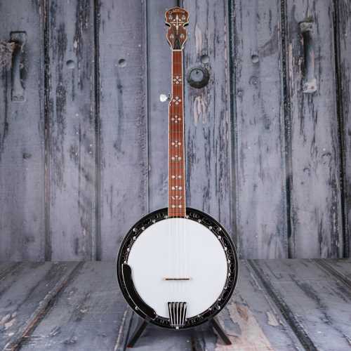 Gold Tone BG-150F Banjo Vintage > Guitars Acoustic | Replay Guitar Exchange