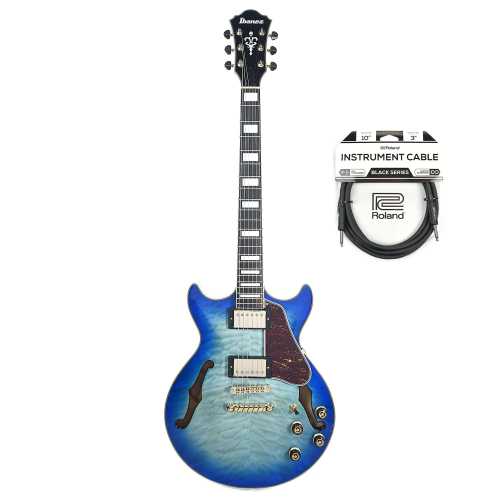Ibanez Fits in Ibanez Case Model #: AM100C AM Blue Jet Blue Burst ...