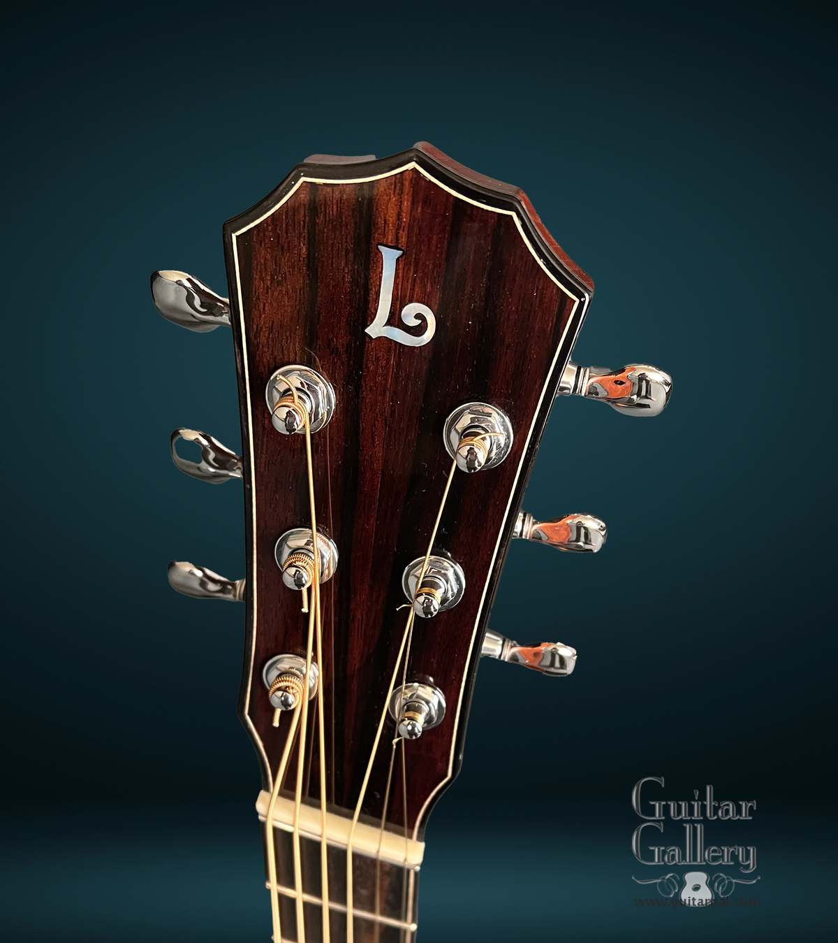 Lichty J Cutaway Macassar Ebony > Guitars Acoustic | Guitar Gallery