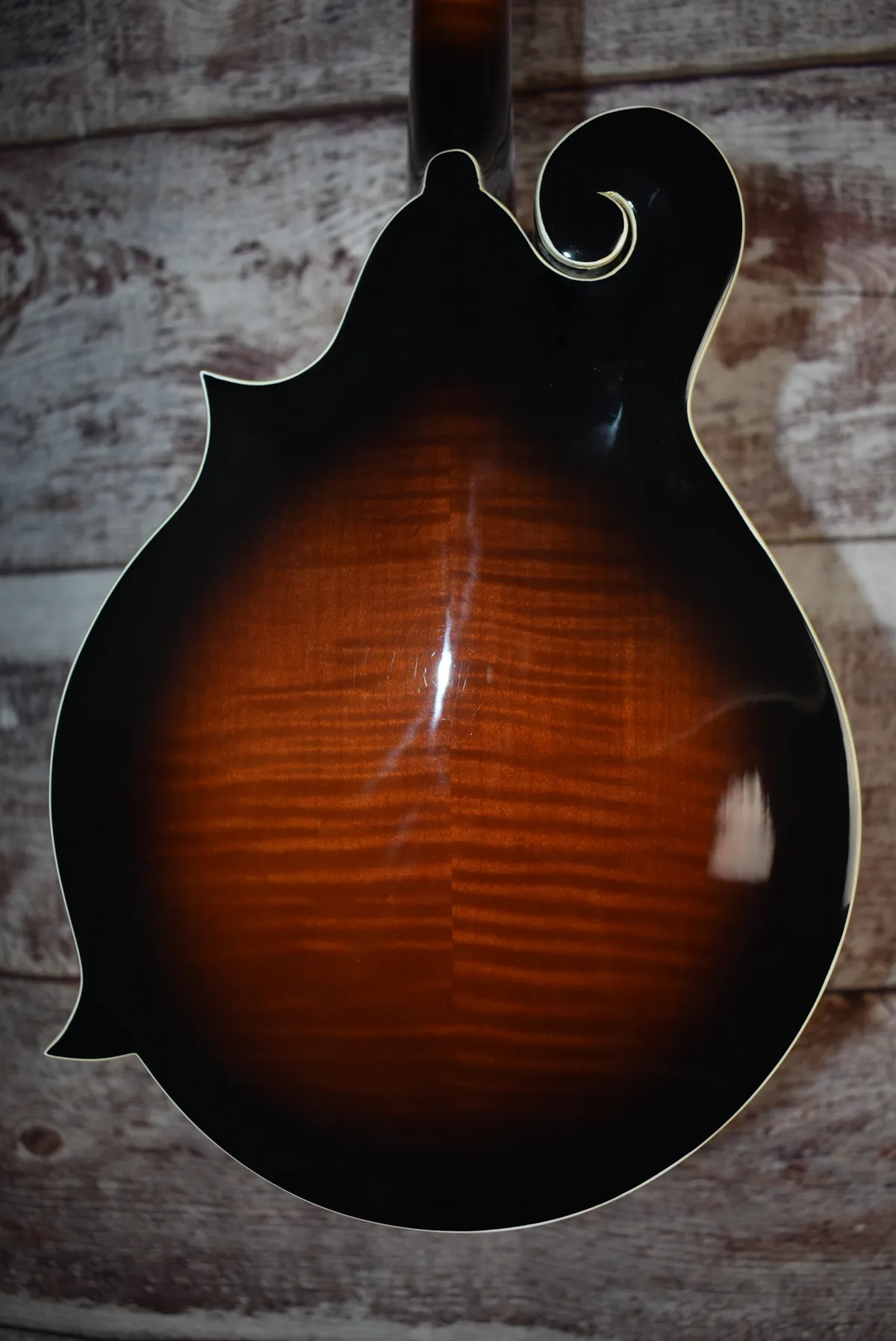 Michael Kelly Dragonfly Mandolin > Mandolin Family | The Loft at Lays ...