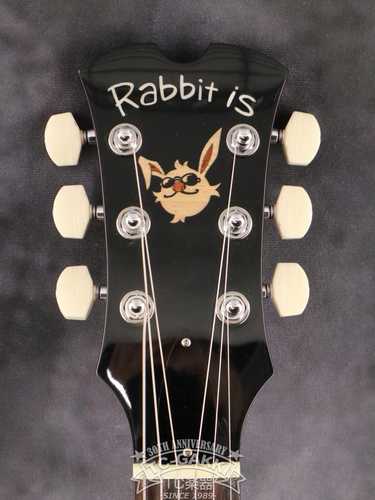 Rabbit is USA > Guitars Electric Solid Body | TCGAKKI