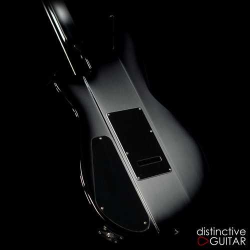 Reverend Warhawk DAW Silver Burst > Guitars Electric Solid Body ...
