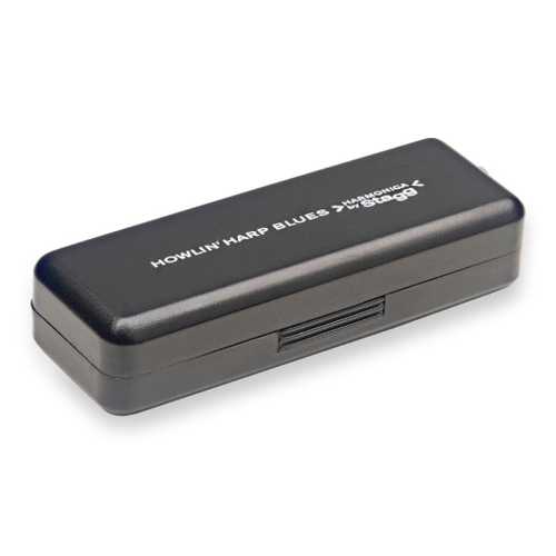 Stagg Blues Harmonica - Key of D Major > Accessories | Bananas At Large Inc