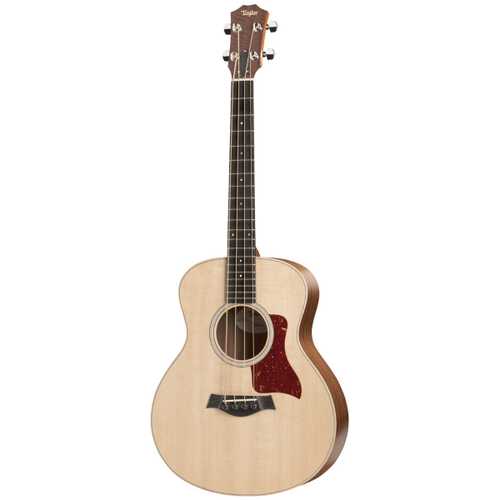 Taylor GS MINI-e Maple > Accessories | Bananas At Large Inc