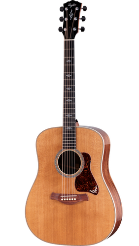 Taylor Taylor Gold Label 810e Rosewood Dreadnought with Electronics ...