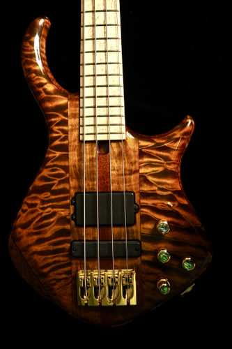 Warrior DM4 Signature Bass > Guitars Bass | Treasuretone